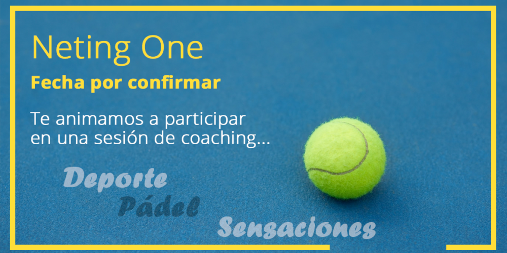 Neting Evolution - Neting Evolution