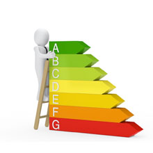 Servicios - Neting Evolution